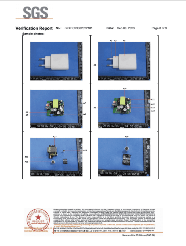 What is SGS? - Pulse